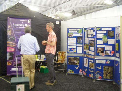 Home - Kent Bat Group