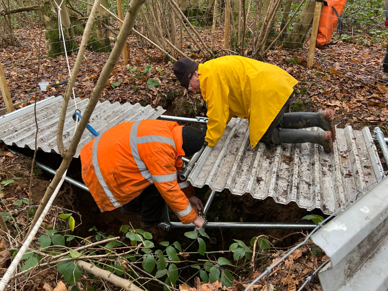 Home - Kent Bat Group
