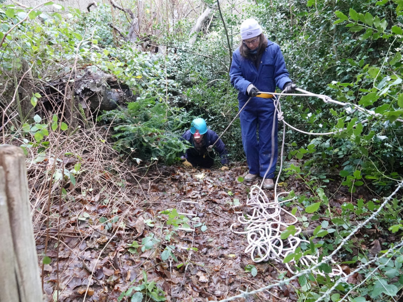 Home - Kent Bat Group
