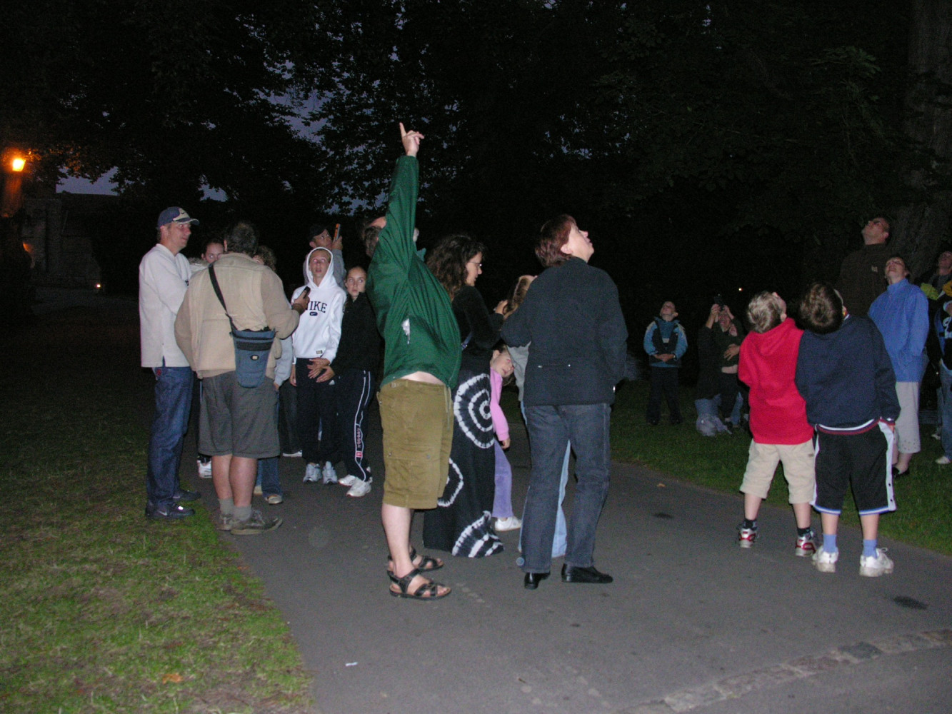 Volunteering - Kent Bat Group