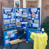 Home - Kent Bat Group